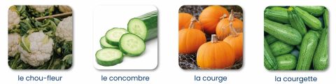 Vegetables in French 🇫🇷 Pronunciation, tips, interactive exercises ...