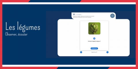 Vegetables in French 🇫🇷 Pronunciation, tips, interactive exercises ...
